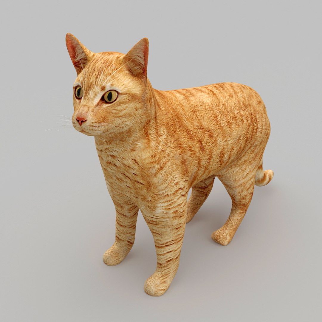 Cat 3d Model