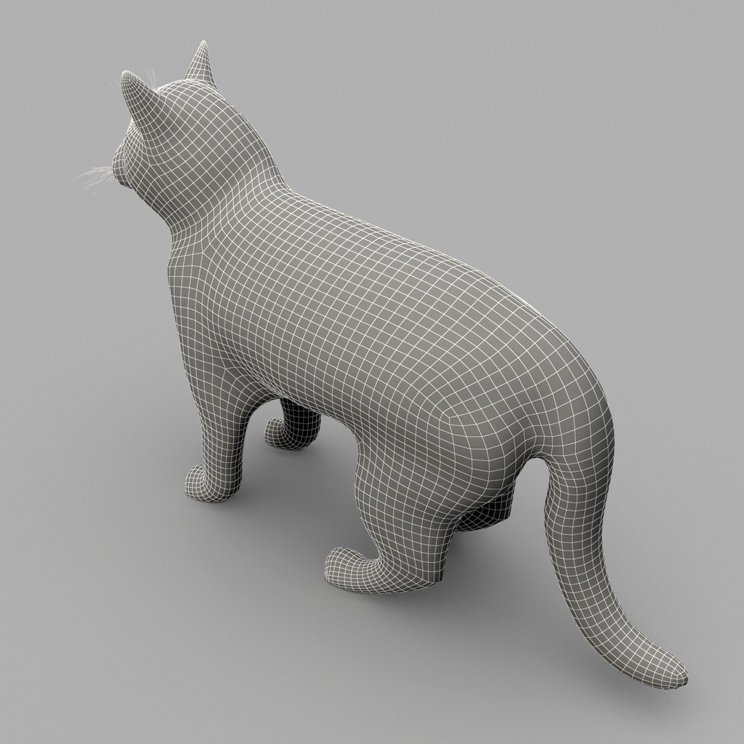 Cat 3d Model