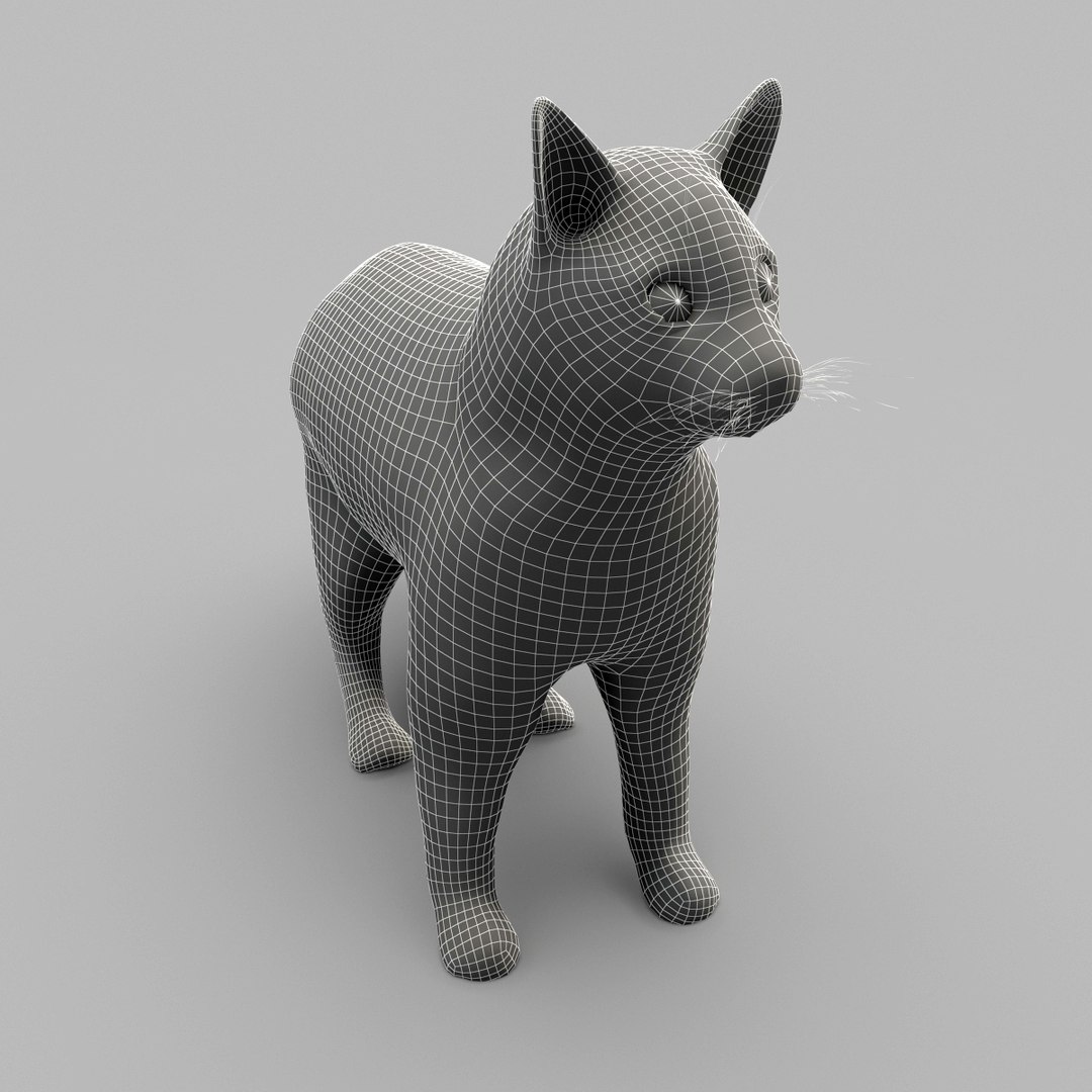 Cat 3d Model