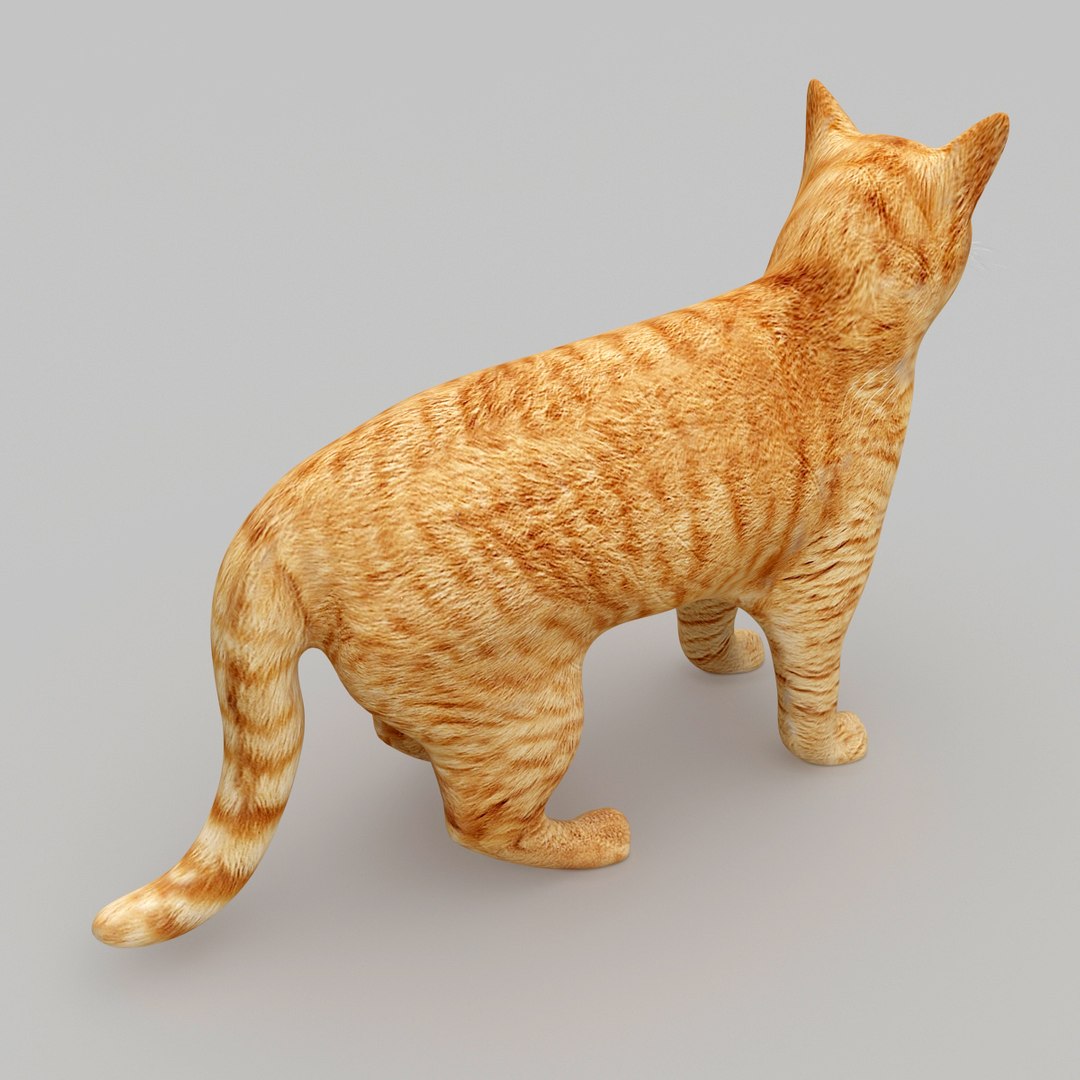 Cat 3d Model