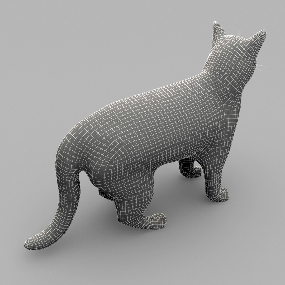 Cat 3d Model