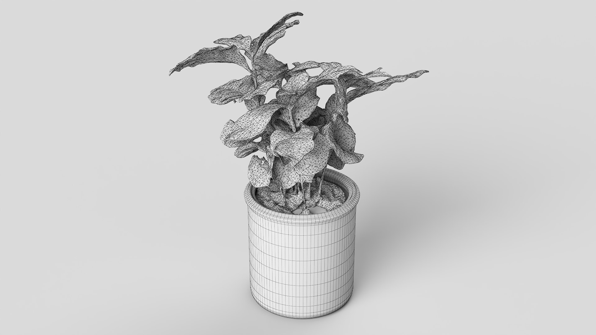 3D Model Plant 07 - TurboSquid 2149606