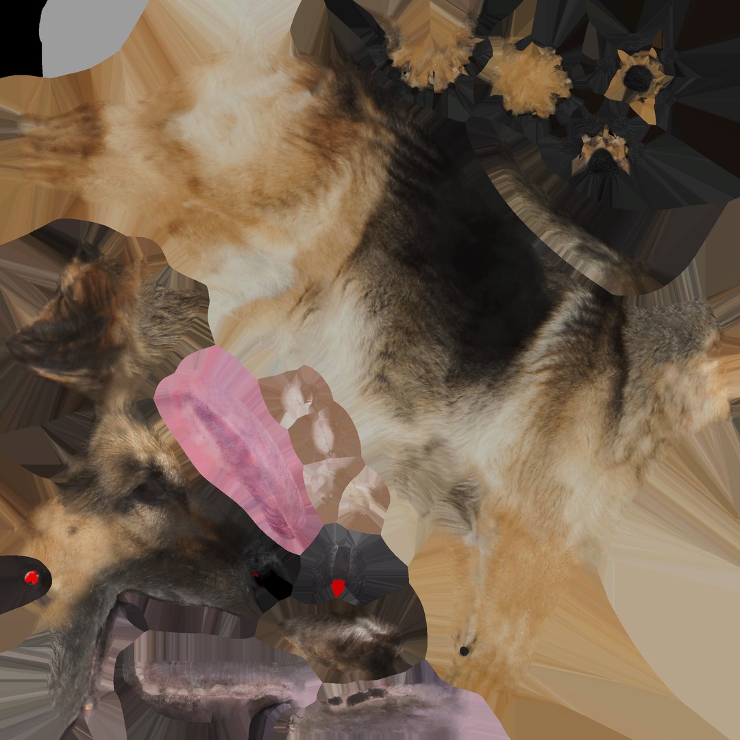 Police Shepherd 3D Model - TurboSquid 2338843
