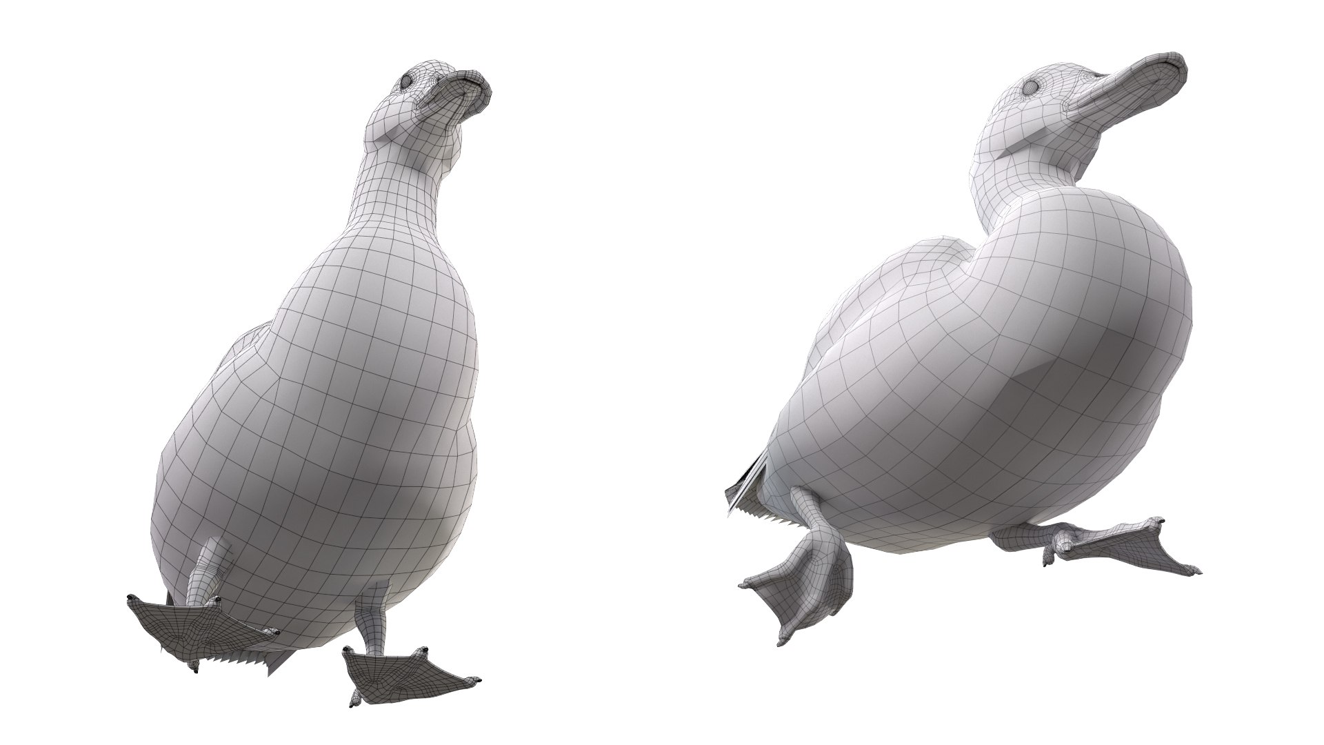 3D Mallard Duck Female Model - TurboSquid 1791777