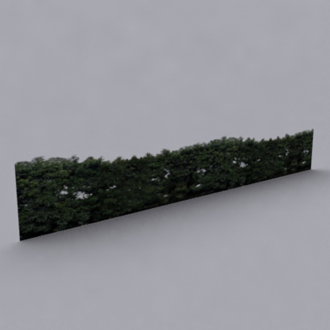 3d model of hedge plants