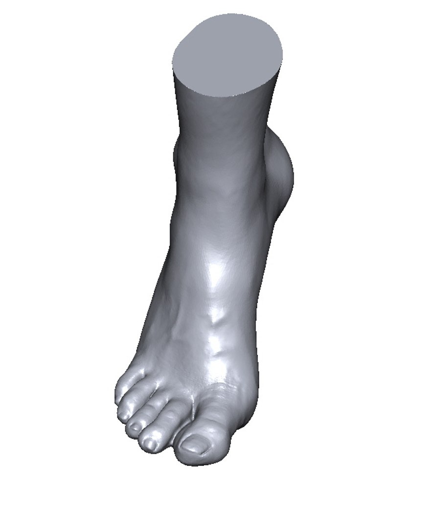 Scan Foot 3D - TurboSquid 1348819