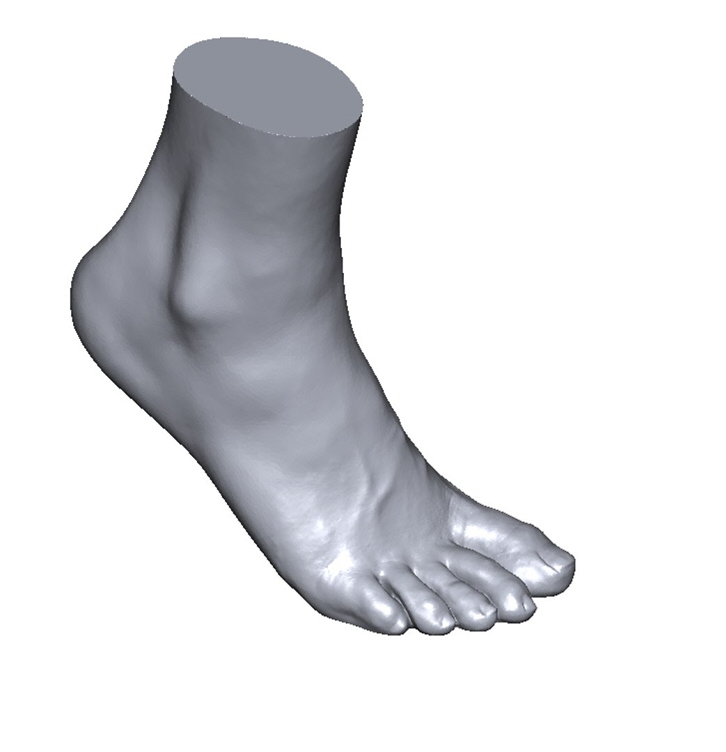 modèle 3D de Pied2 - TurboSquid 1348819