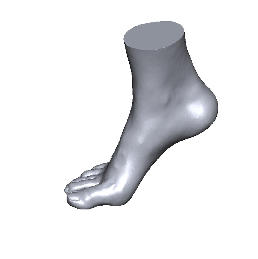 Scan Foot 3D - TurboSquid 1348819