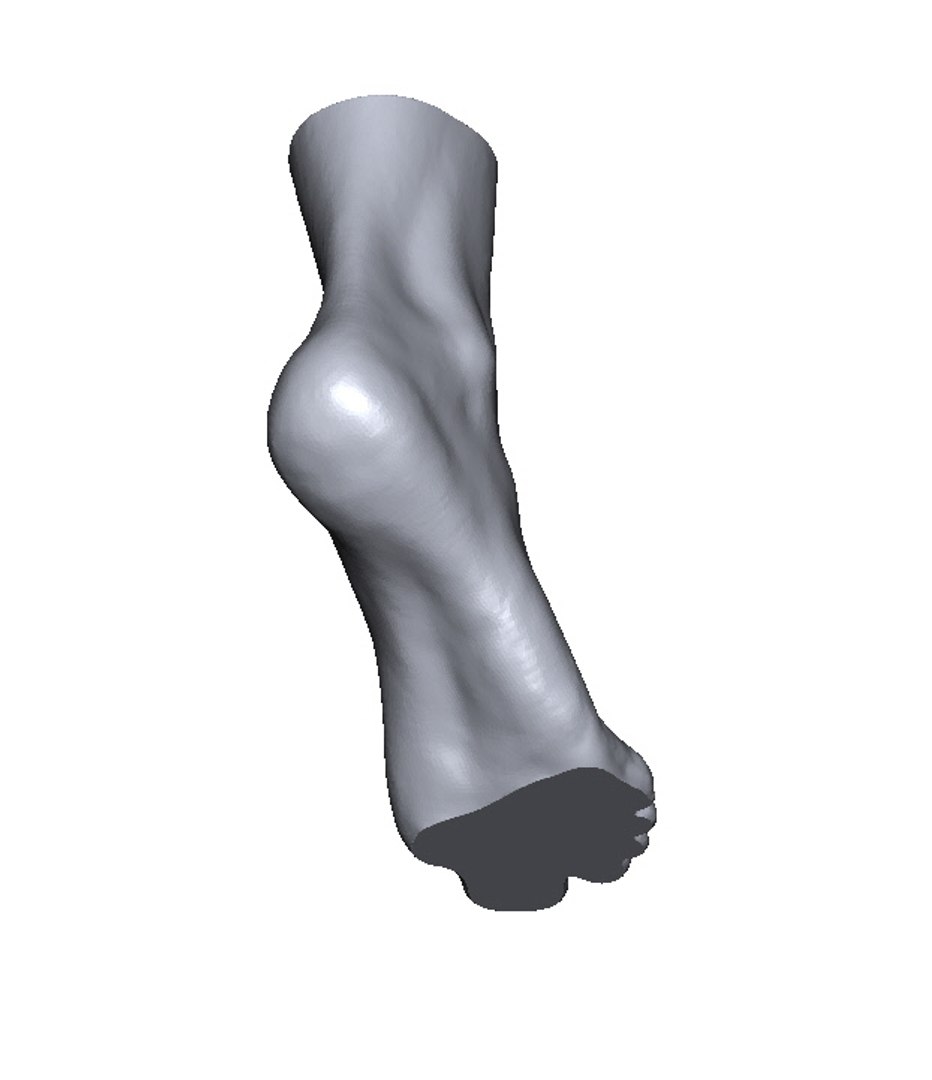 Scan Foot 3D - TurboSquid 1348819