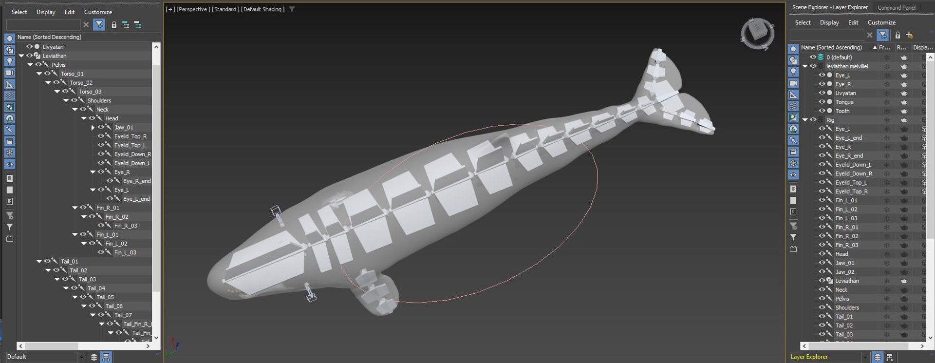3D Model Livyatan Melvillei Moby Dick Whale Rigged - TurboSquid 2394990