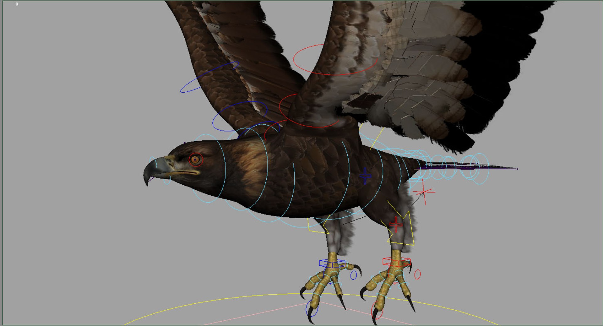 3D Model Eagle Rigged - TurboSquid 1443150