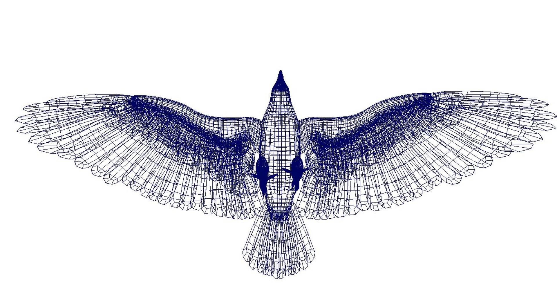 3D Model Eagle Rigged - TurboSquid 1443150