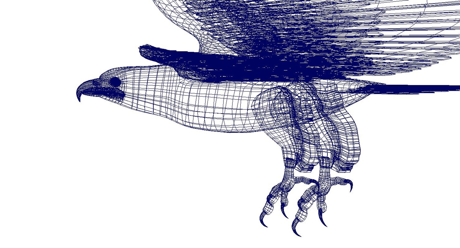 3D Model Eagle Rigged - TurboSquid 1443150