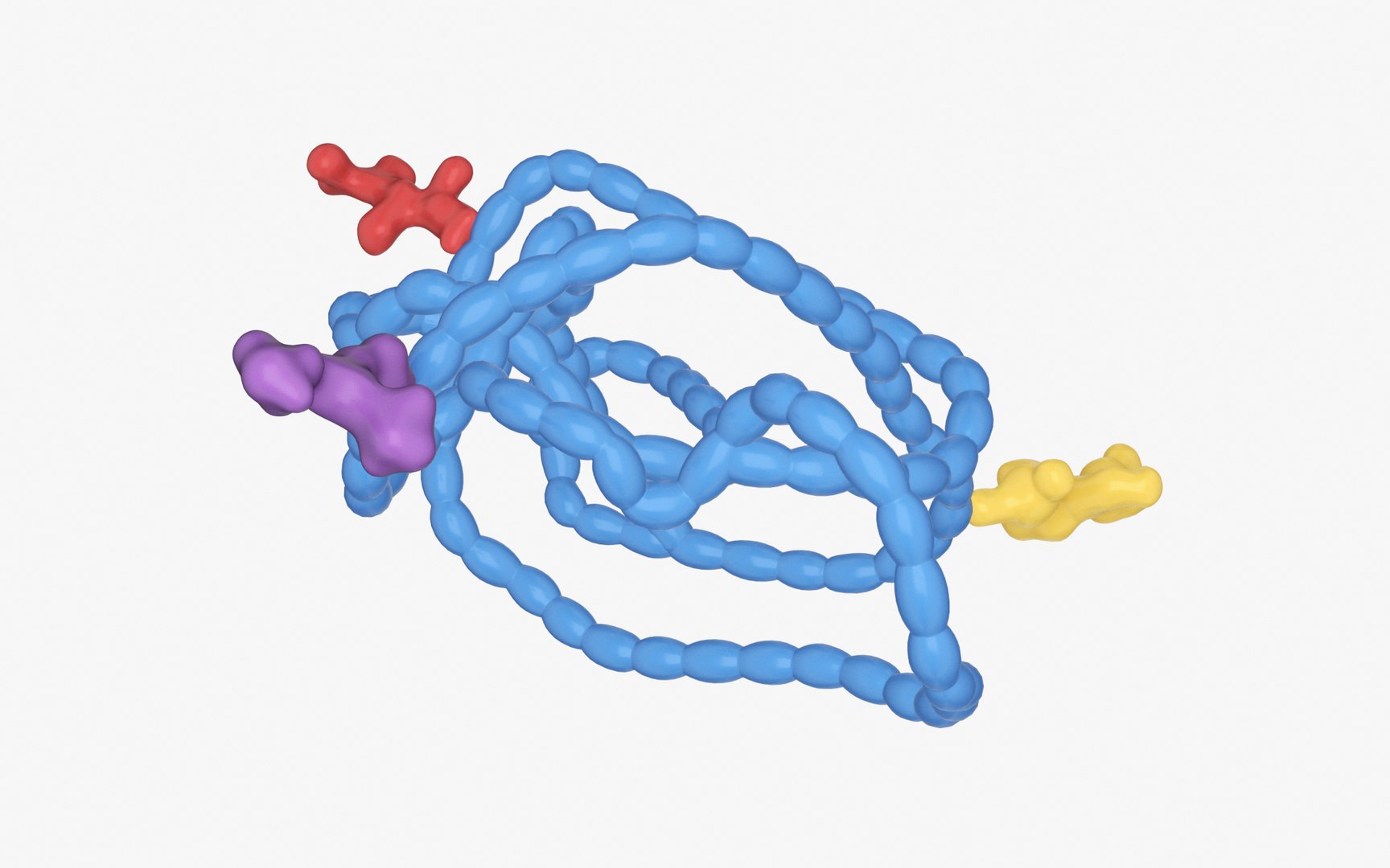 3D Protein - TurboSquid 1926900