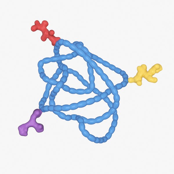 Protein 3D Models for Download | TurboSquid