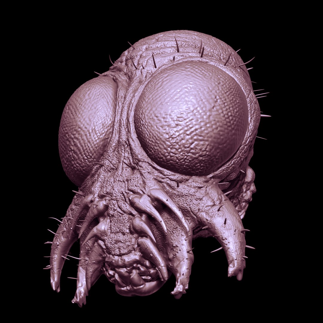 Bust Flyman Creature 3d Model