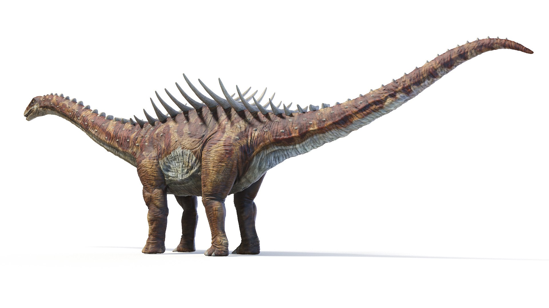 3D Agustinia Animated - TurboSquid 1920282