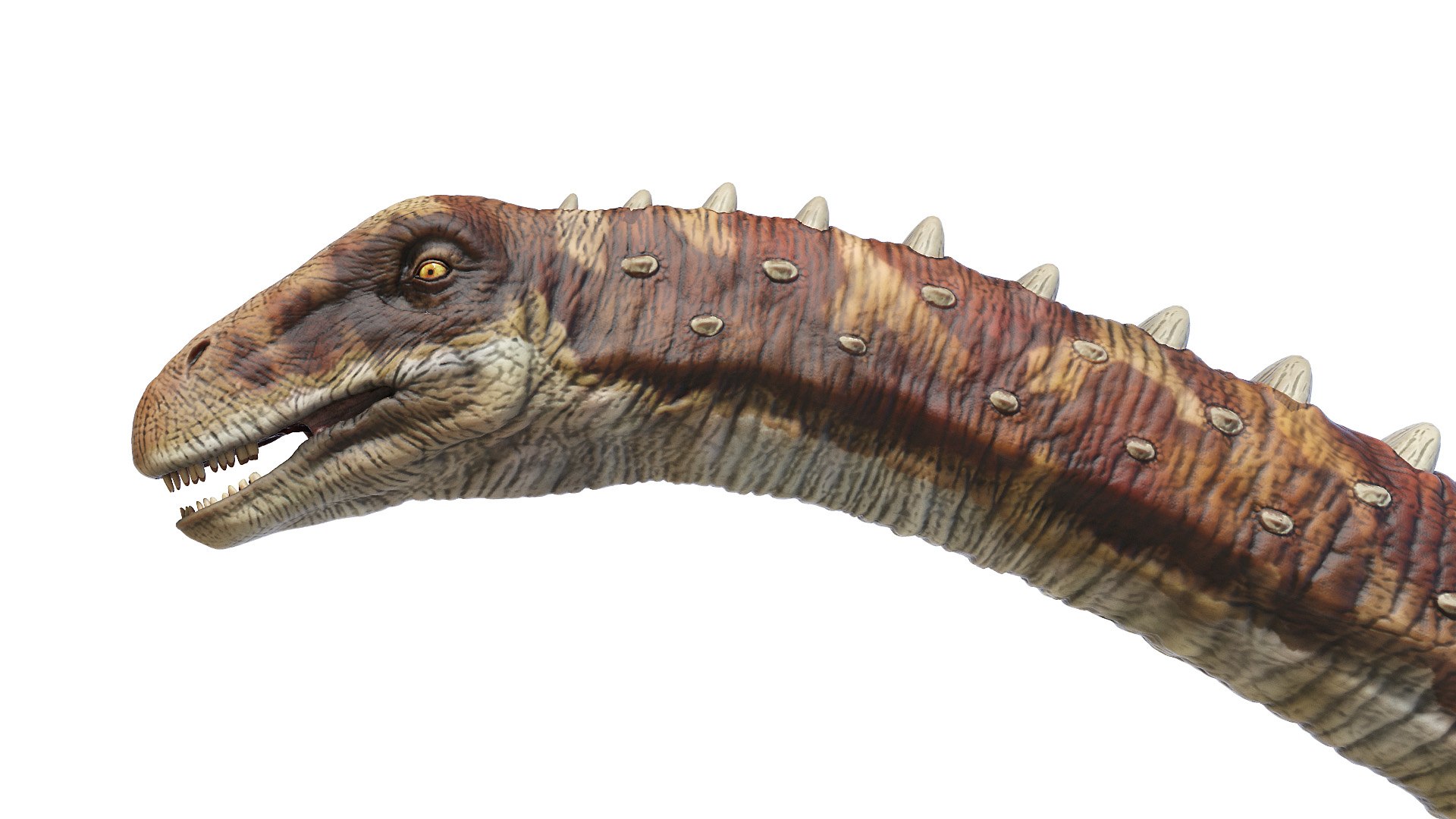 3D Agustinia Animated - TurboSquid 1920282