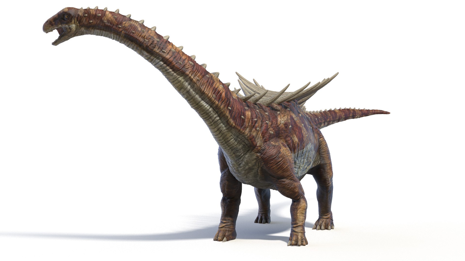 3D Agustinia Animated - TurboSquid 1920282