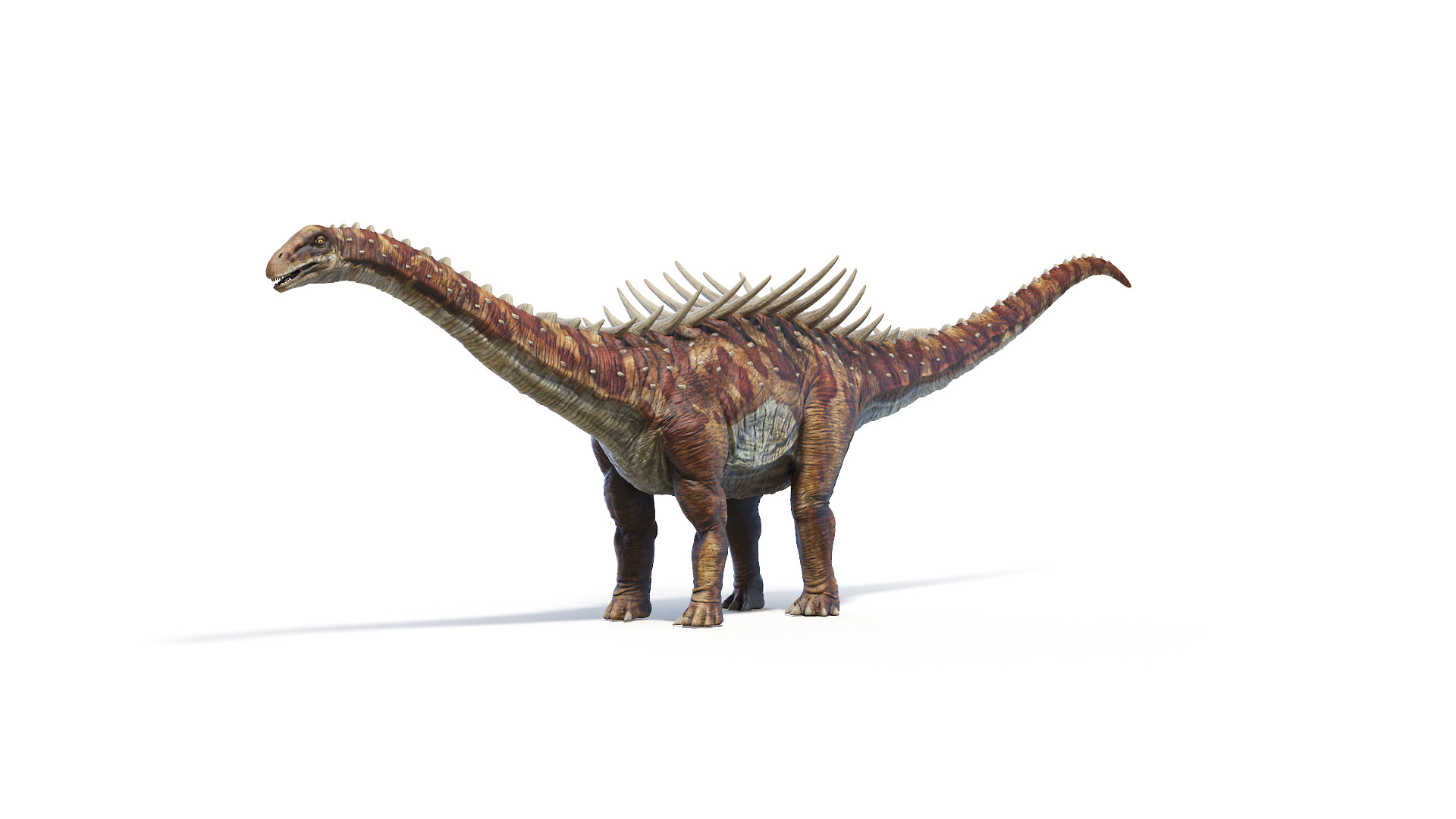 3D Agustinia Animated - TurboSquid 1920282