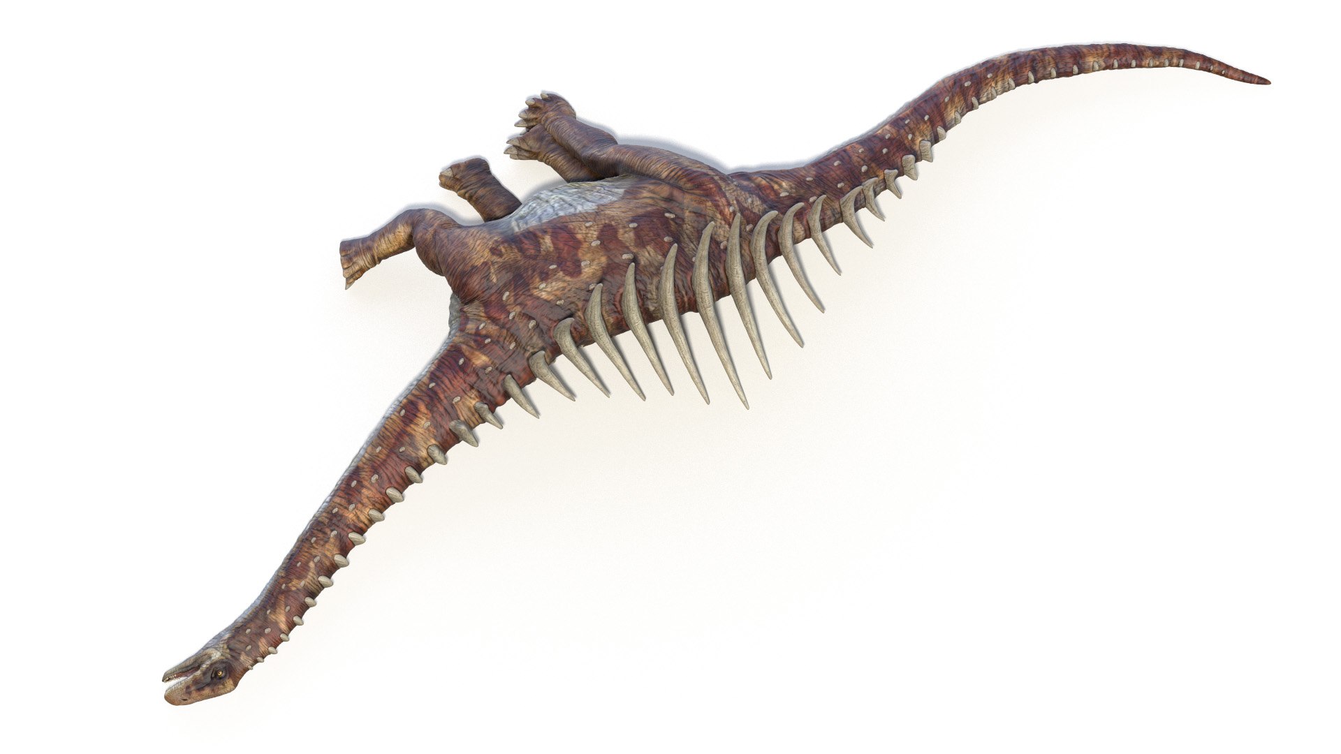 3D Agustinia Animated - TurboSquid 1920282