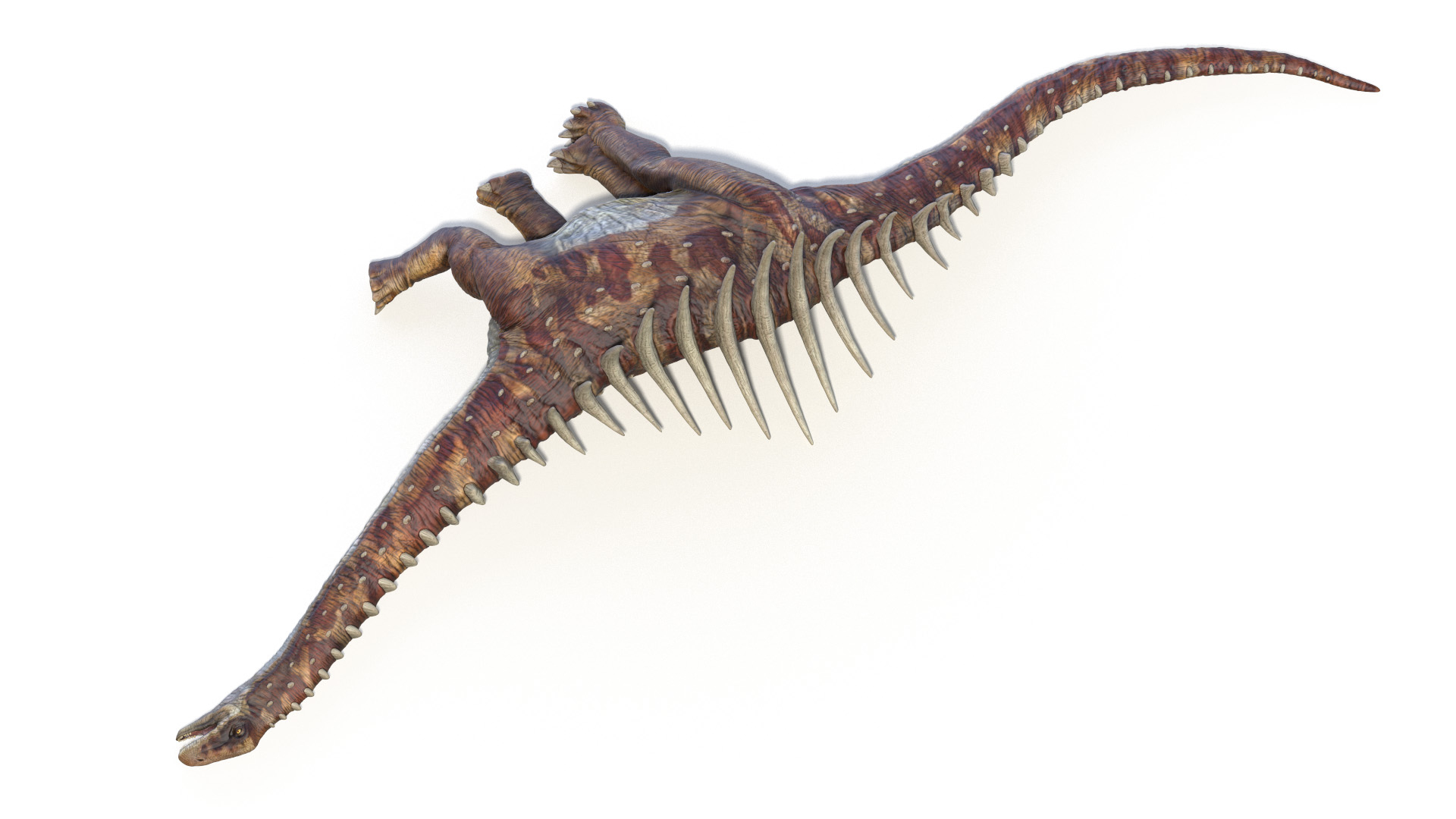 Agustinia Animated Modelo 3D - TurboSquid 1920282