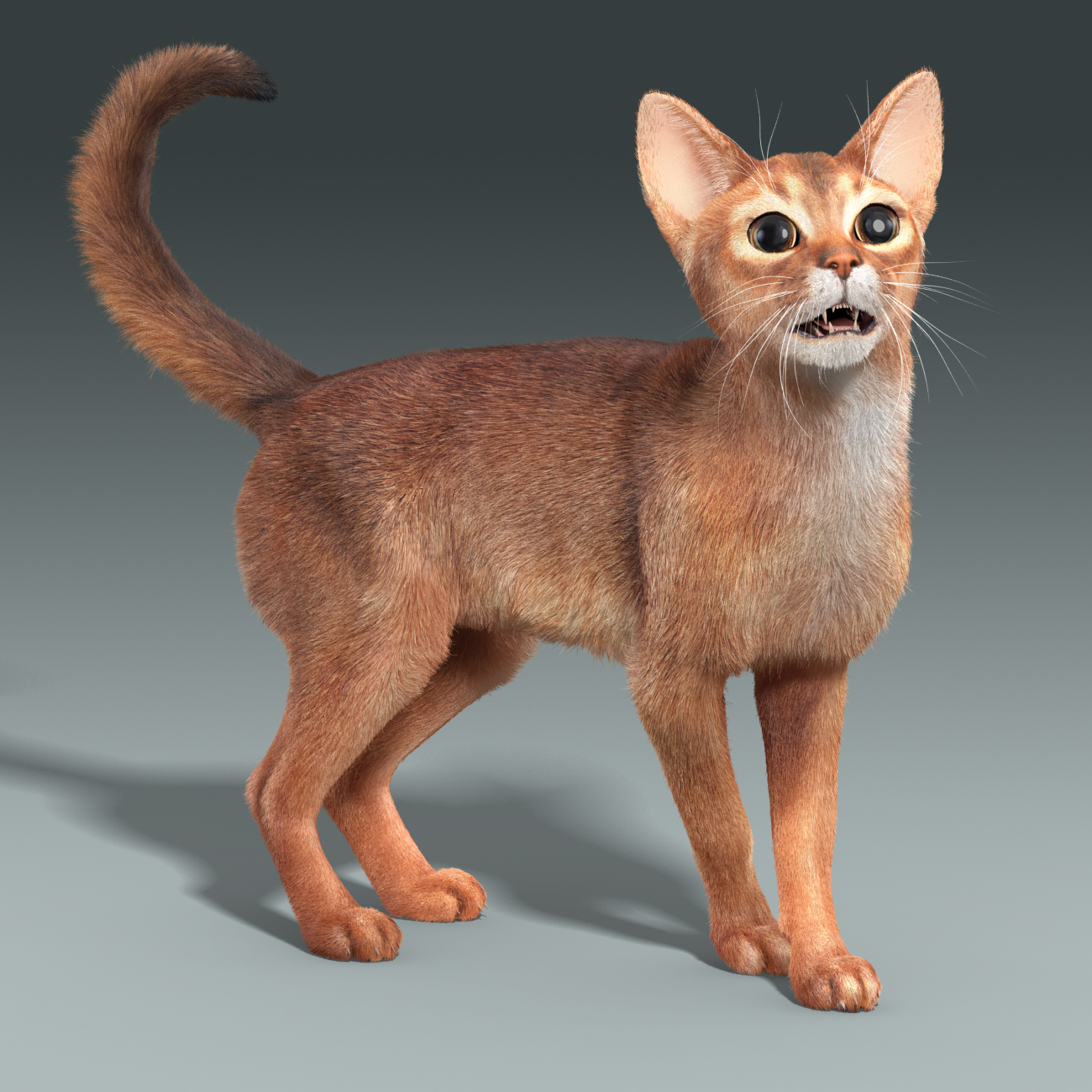 abyssinian cat fur 3d max