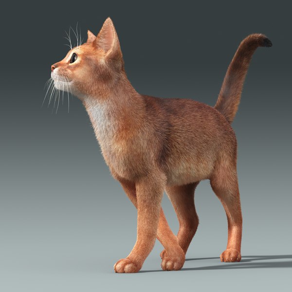 abyssinian cat fur 3d max