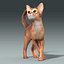 Abyssinian Cat Fur 3d Max