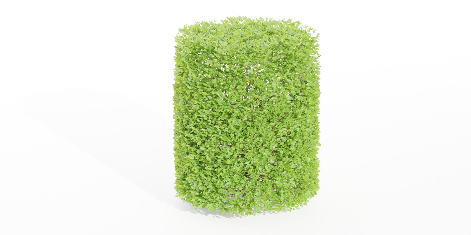 Bushes collection vol 61-Blender 3D model - TurboSquid 2122645