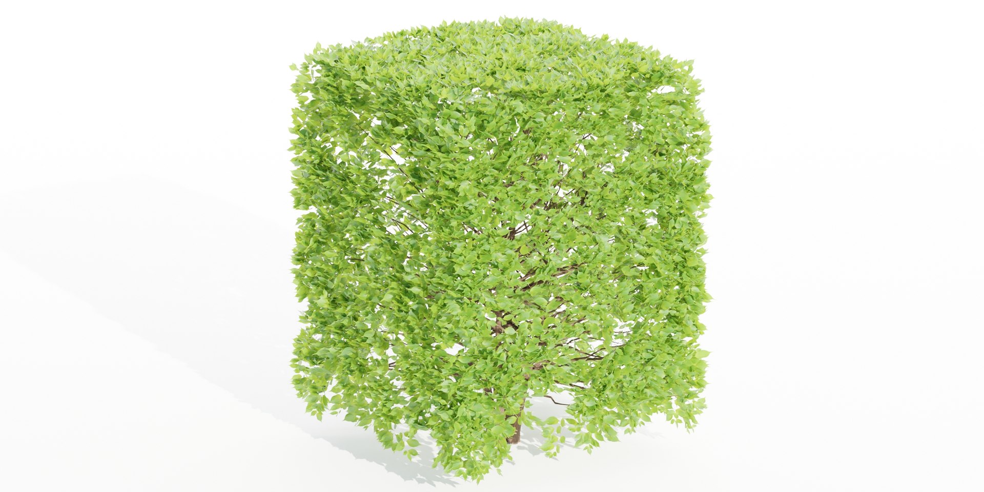 Bushes collection vol 61-Blender 3D model - TurboSquid 2122645