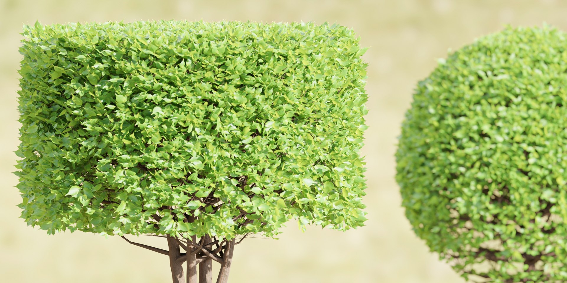 Bushes collection vol 61-Blender 3D model - TurboSquid 2122645