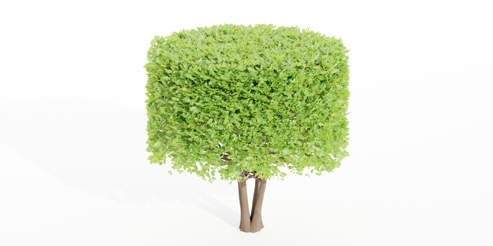 Bushes collection vol 61-Blender 3D model - TurboSquid 2122645