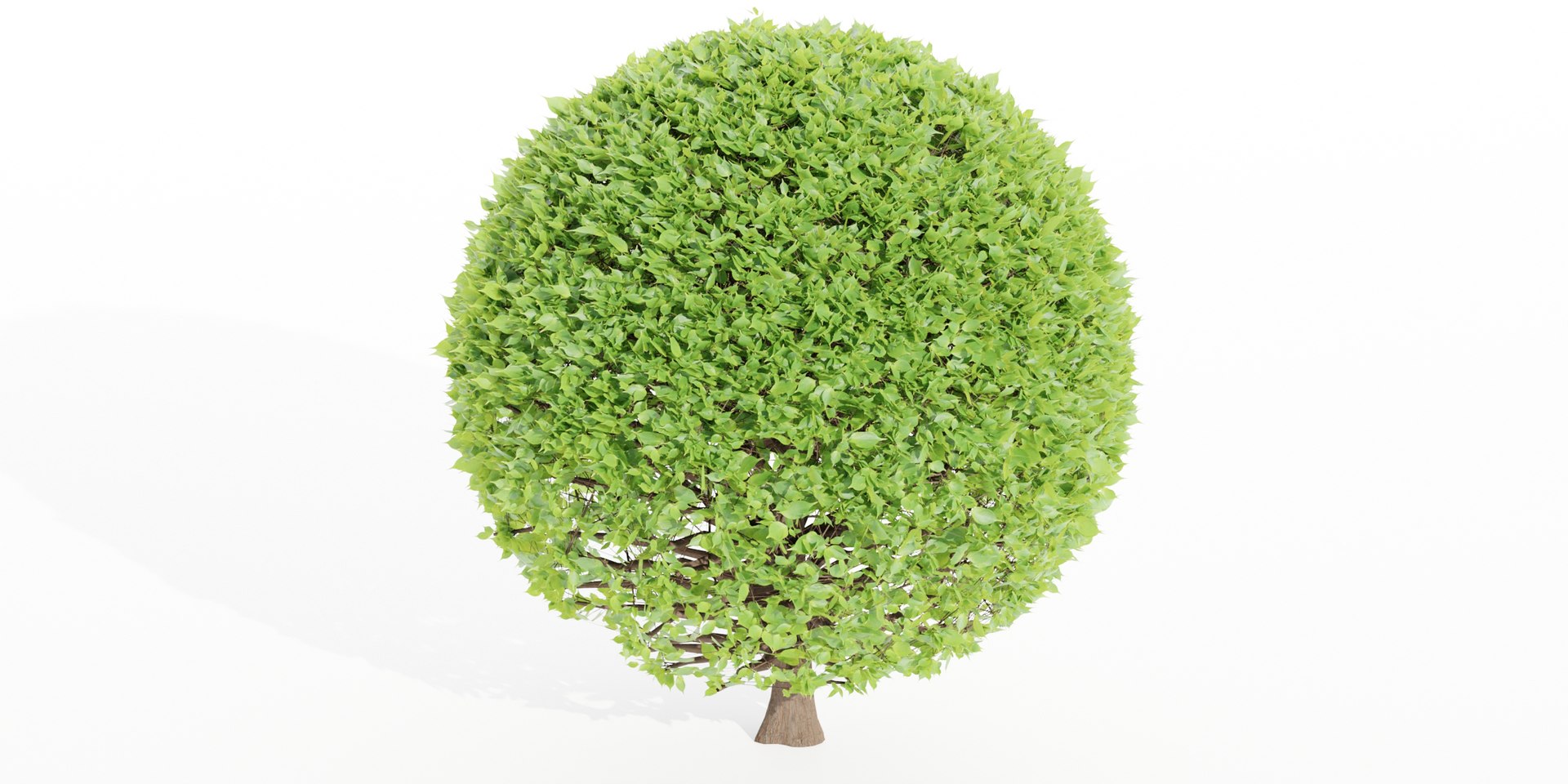 Bushes collection vol 61-Blender 3D model - TurboSquid 2122645