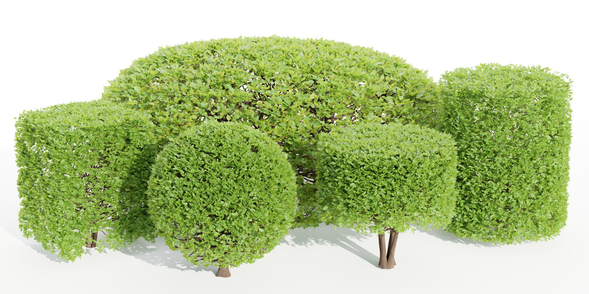 Bushes collection vol 61-Blender 3D model - TurboSquid 2122645