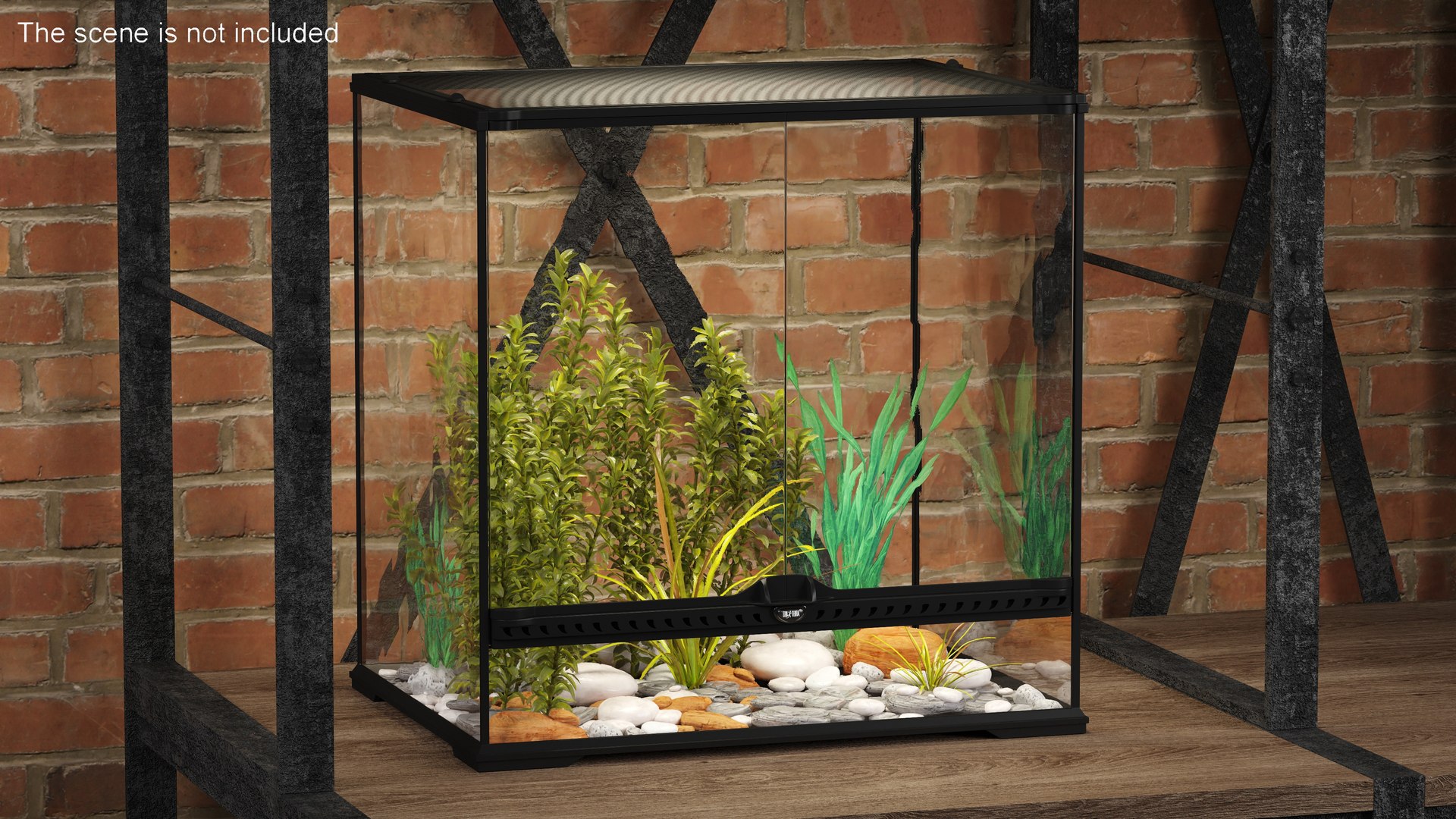 Big Terrarium With Tropic Plants 3D Model - TurboSquid 2144513
