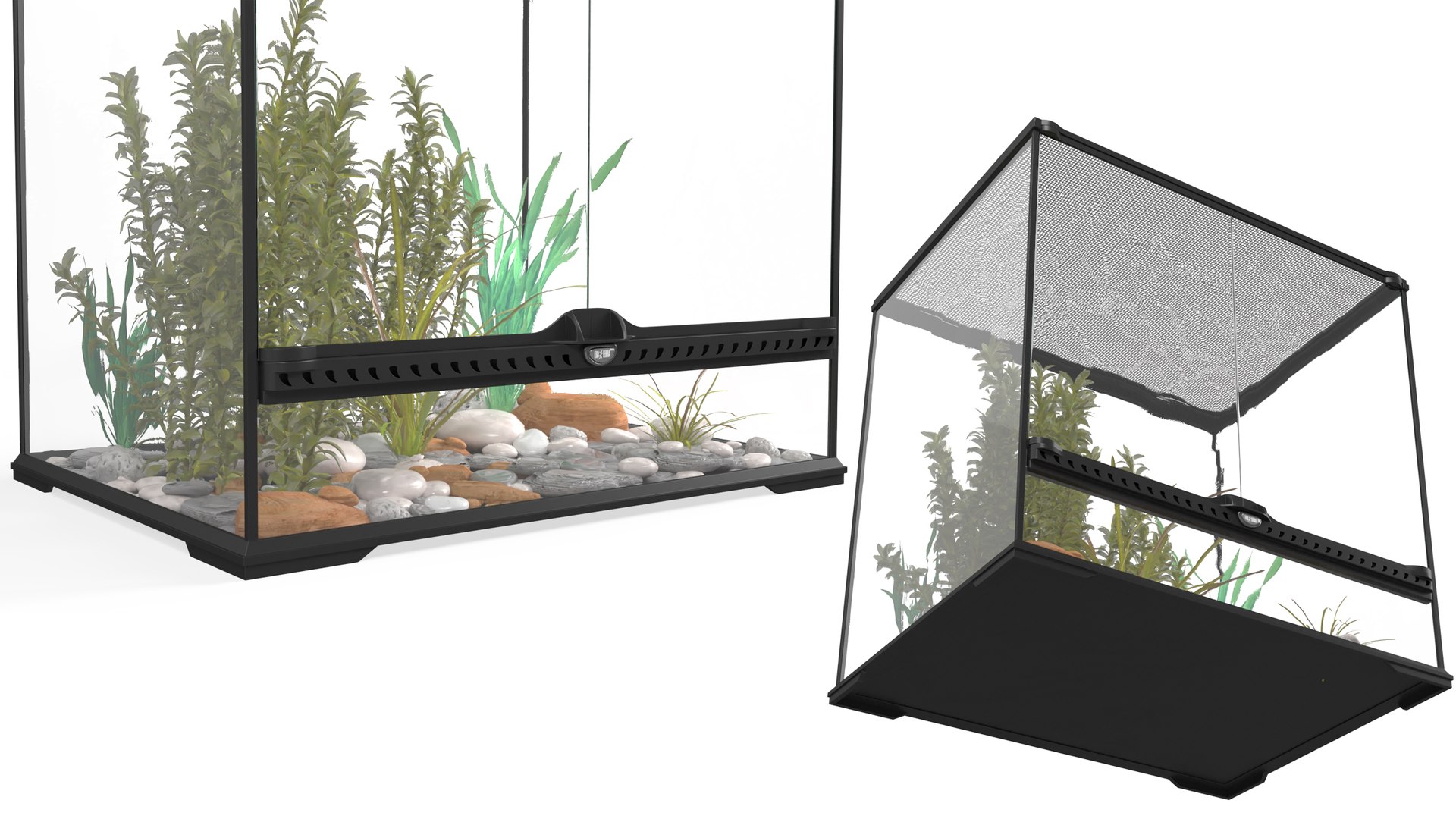 Big Terrarium With Tropic Plants 3D Model - TurboSquid 2144513