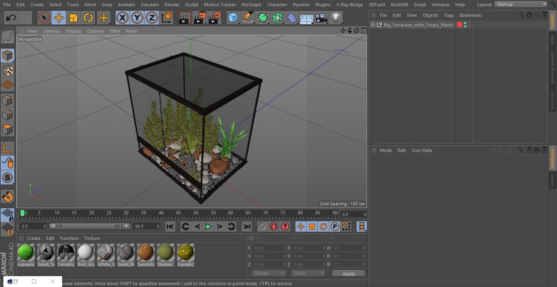 Big Terrarium With Tropic Plants 3D Model - TurboSquid 2144513