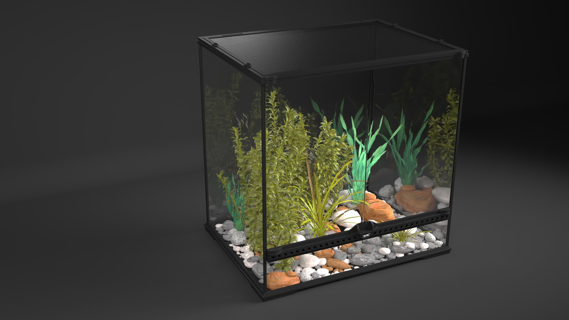 Big Terrarium With Tropic Plants 3D Model - TurboSquid 2144513