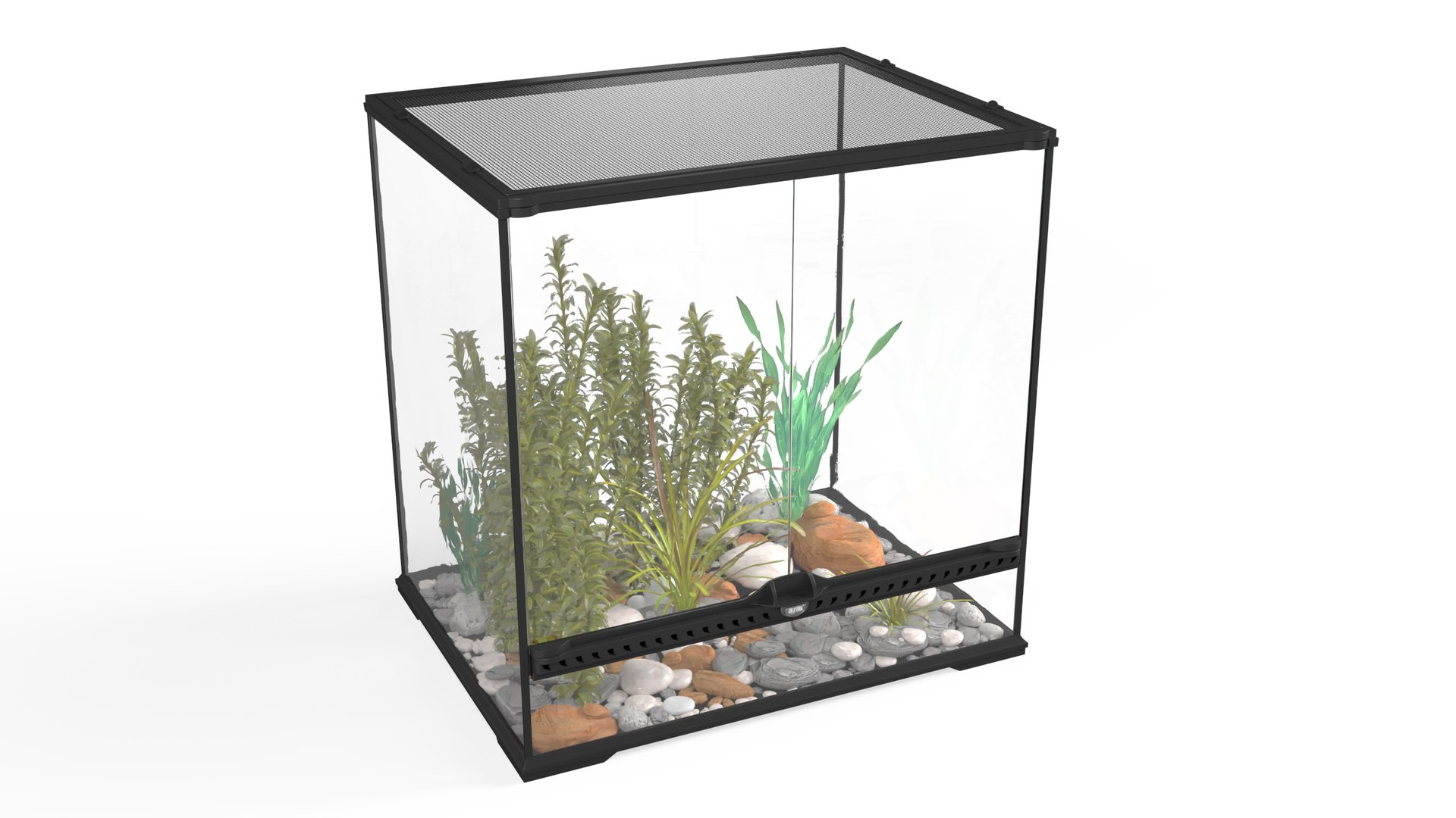 Big Terrarium With Tropic Plants 3D Model - TurboSquid 2144513