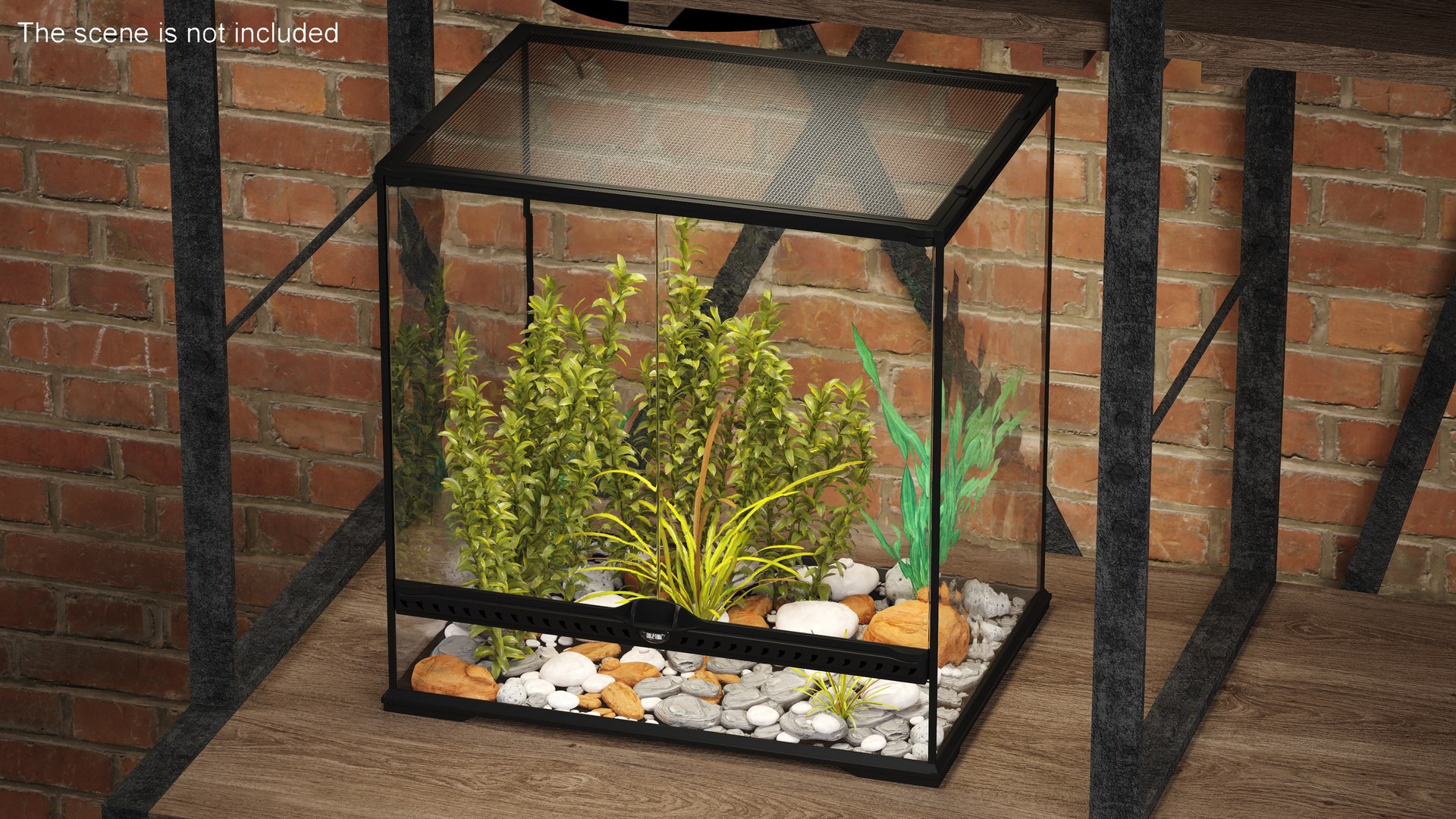 Big Terrarium With Tropic Plants 3D Model - TurboSquid 2144513