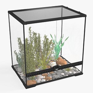 3D Terrarium Models - Browse & Download Formats - TurboSquid