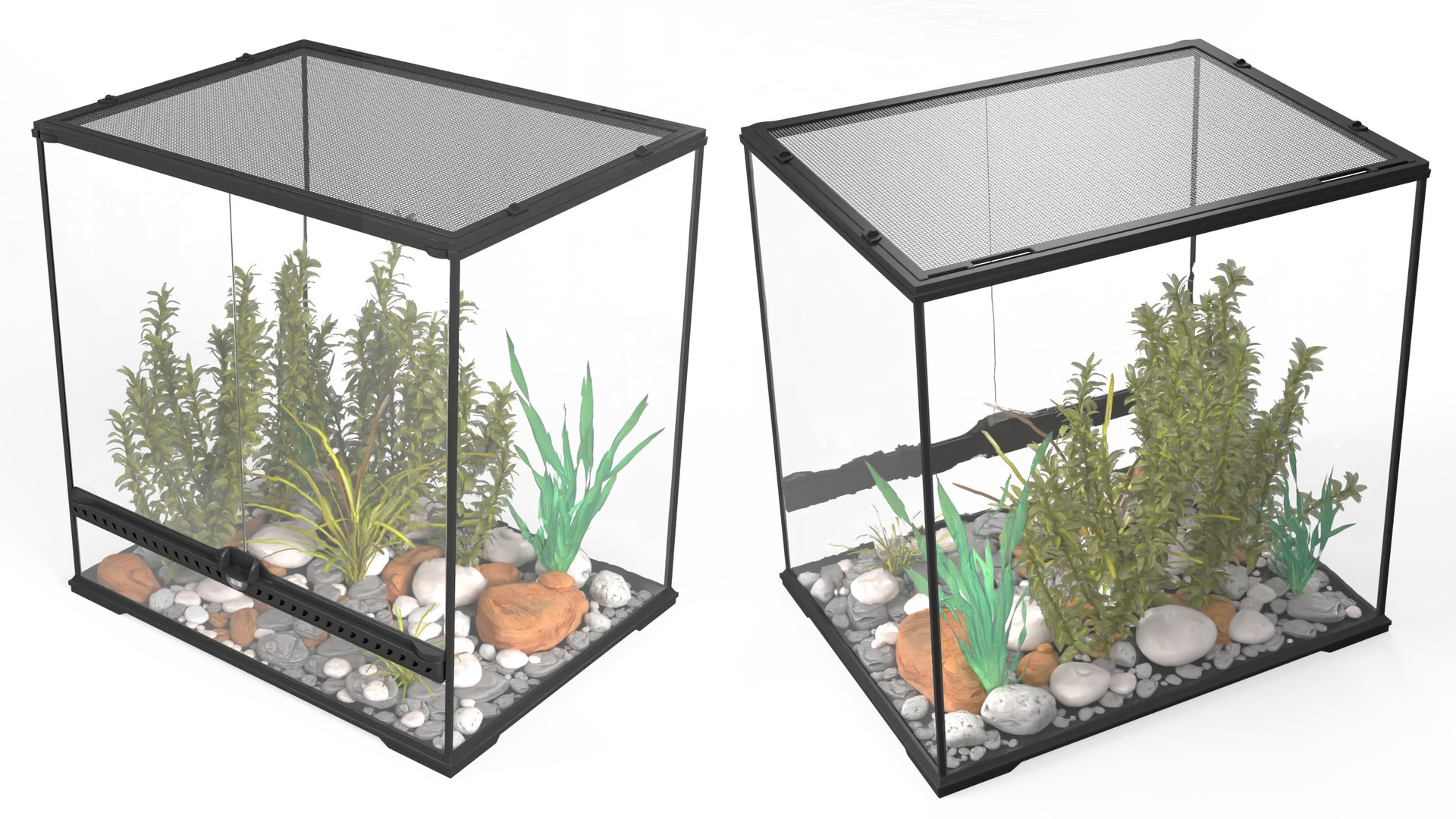 Big Terrarium With Tropic Plants 3D Model - TurboSquid 2144513