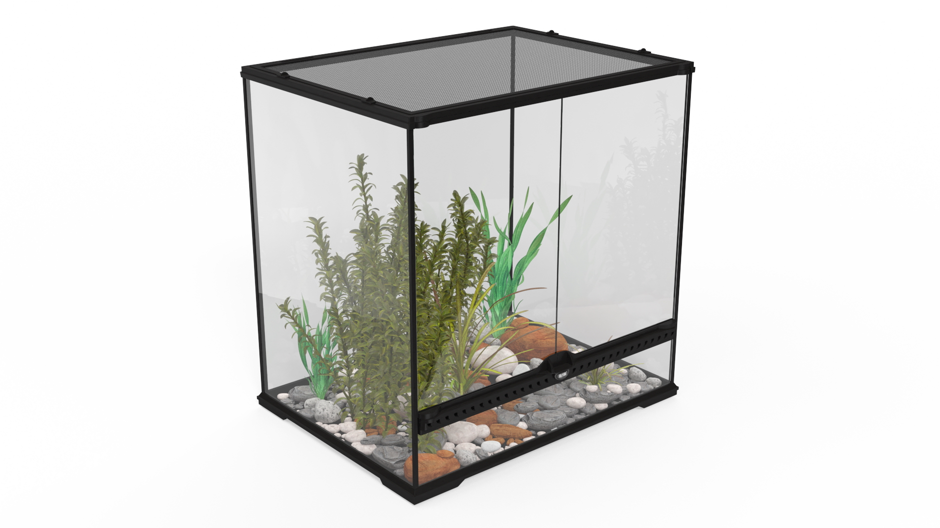 Big Terrarium With Tropic Plants 3D Model - TurboSquid 2144513