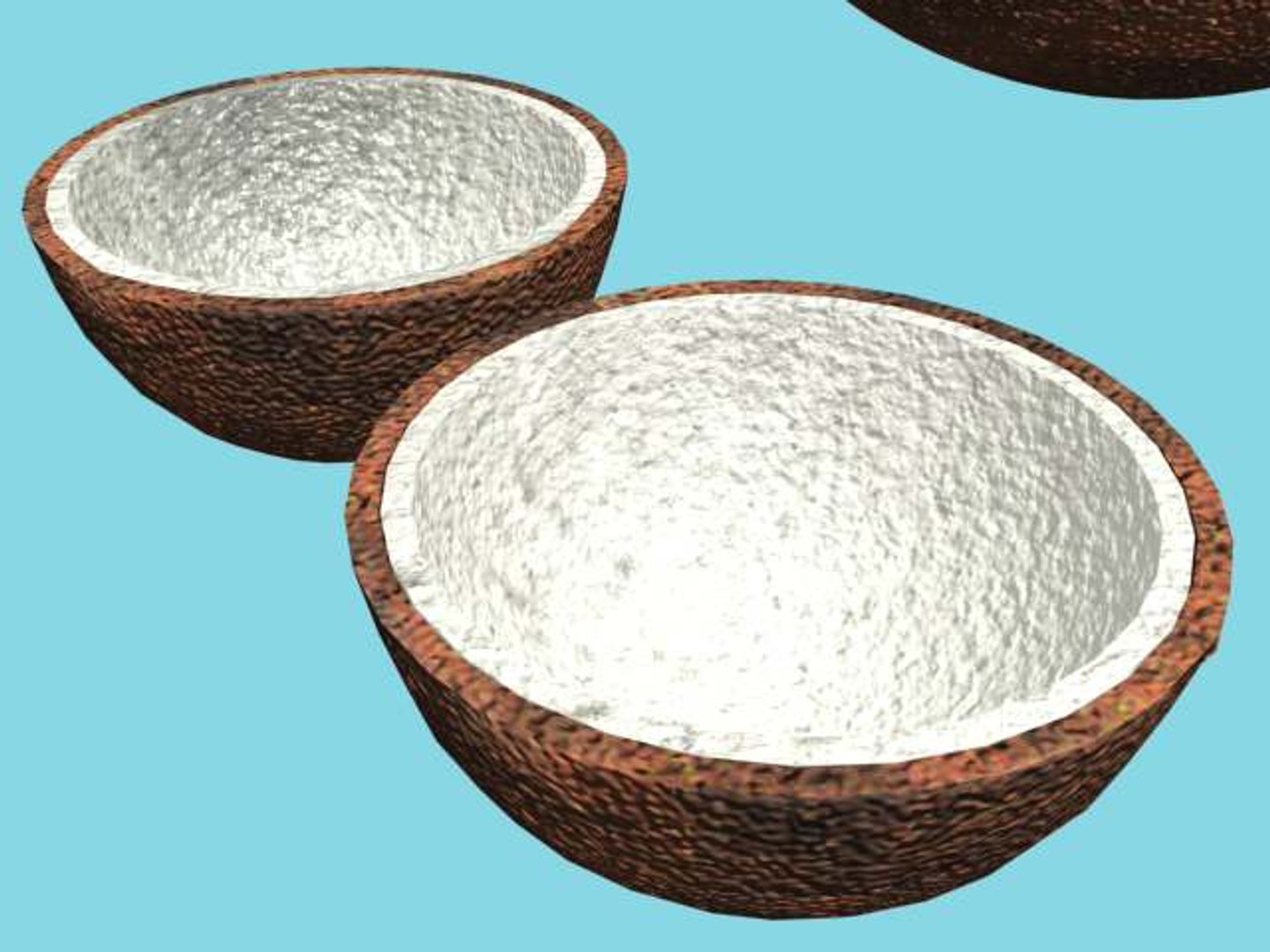 3d model of coconut
