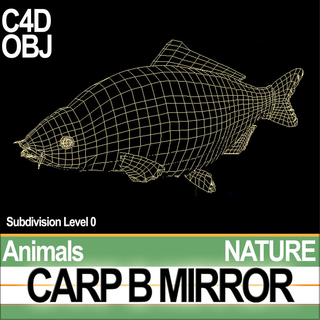 3D Model Carp B Mirror - TurboSquid 1256840