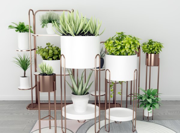 modèle 3D de Modern metal green plant rack - TurboSquid 2103255