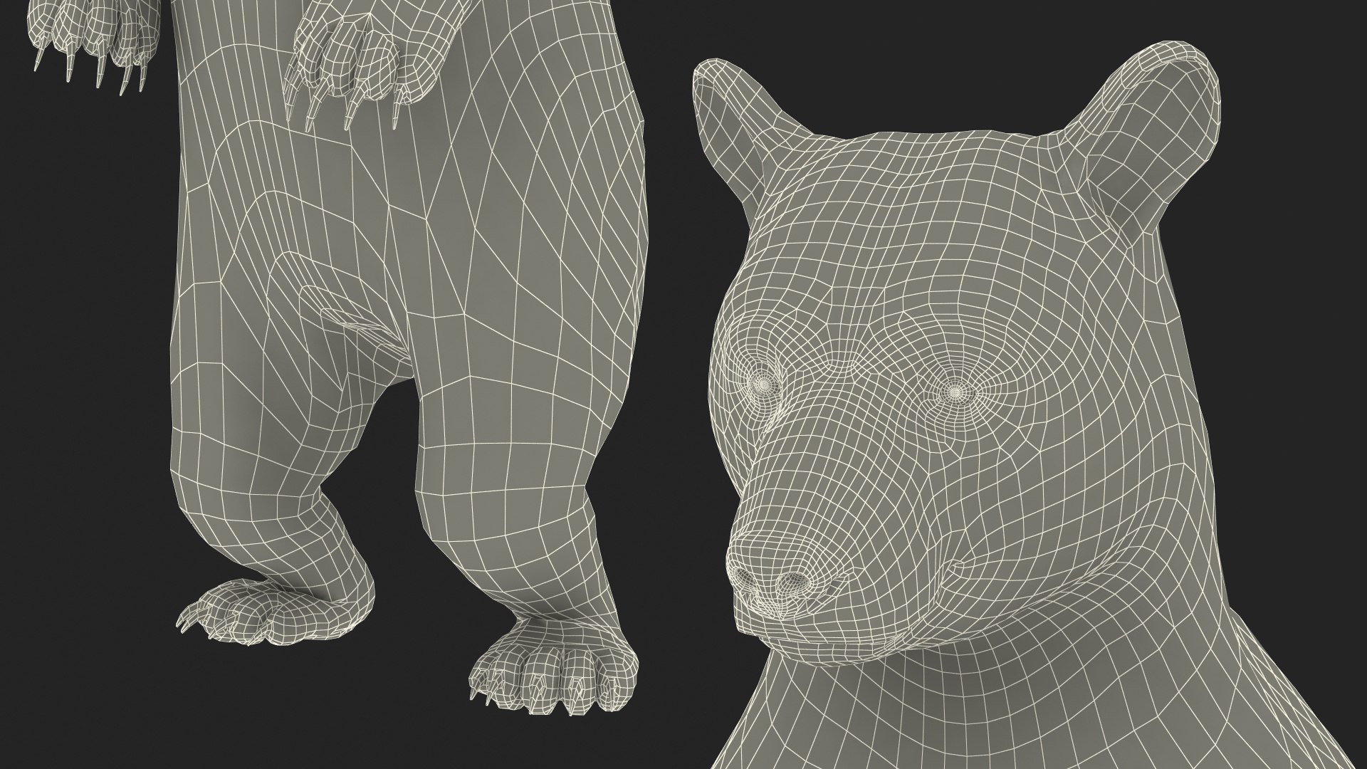 3D Standing Black Bear Fur Model - TurboSquid 2255009