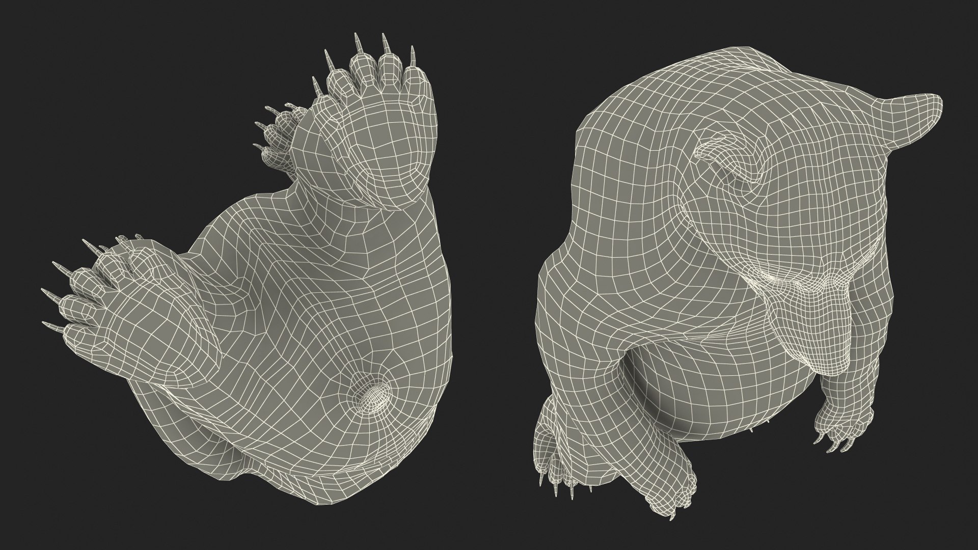 3D Standing Black Bear Fur Model - TurboSquid 2255009