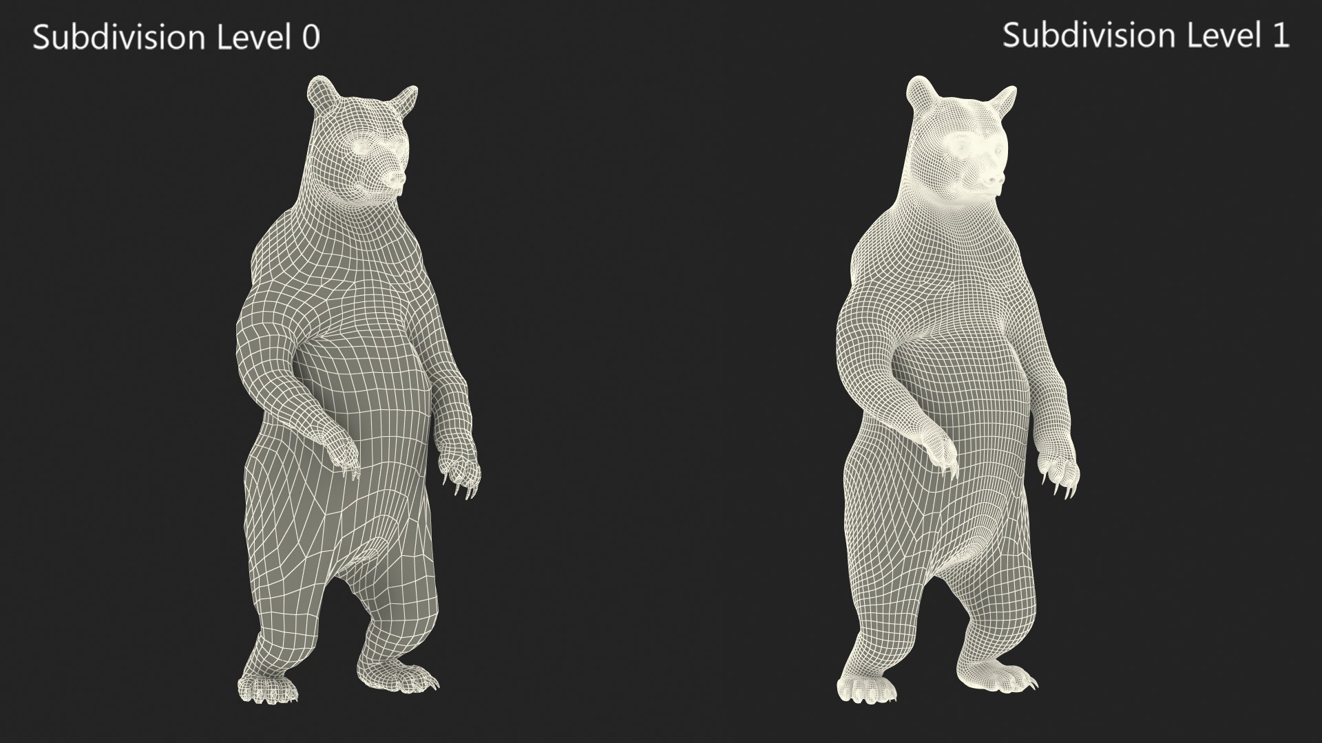 3D Standing Black Bear Fur Model - TurboSquid 2255009